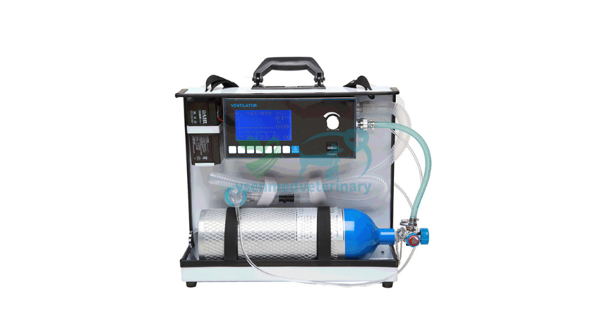 Compact and Powerful: Exploring the Benefits of Medical Portable ...